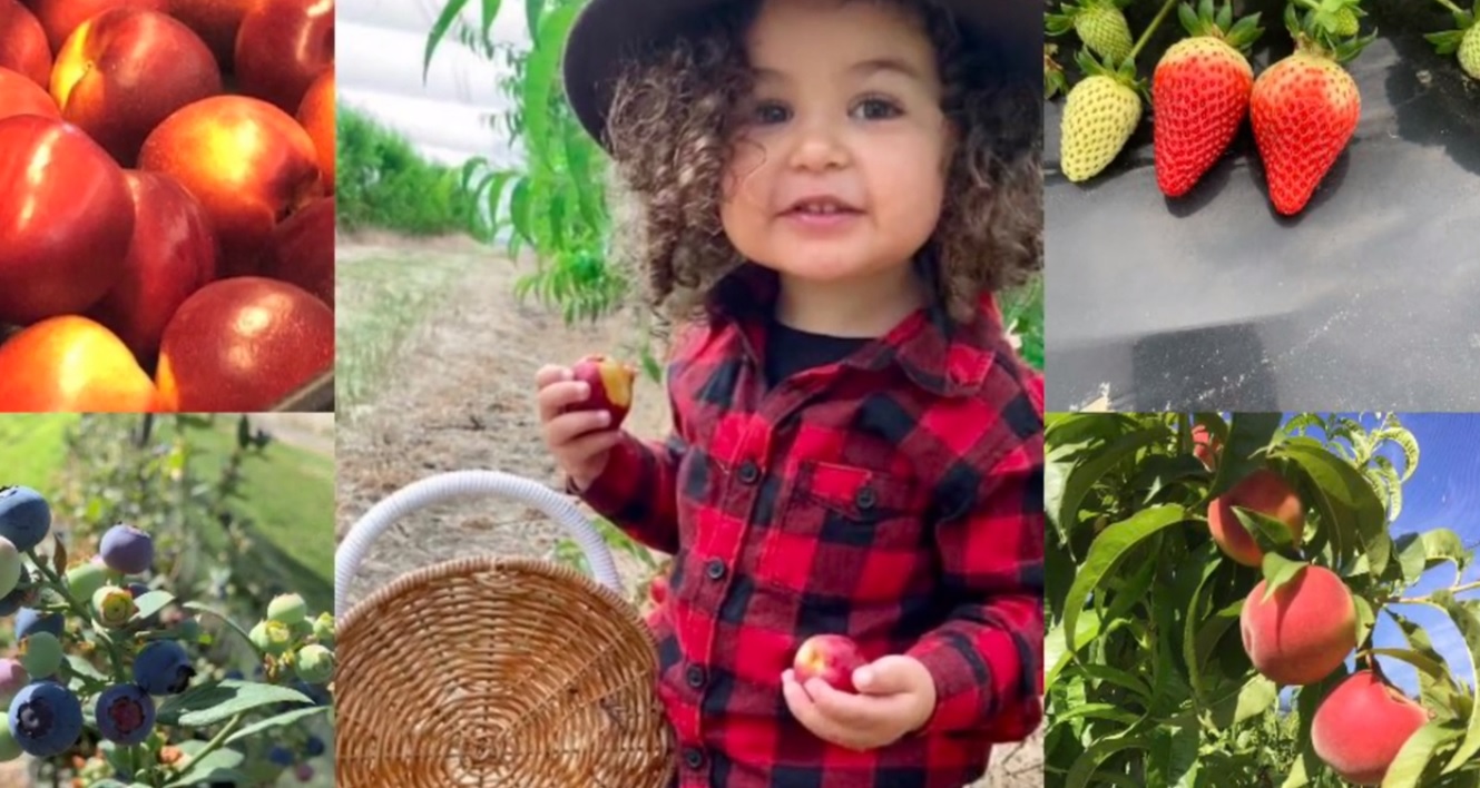 Collaborative Team Building Activities – Why Companies Need Them - Fun ...